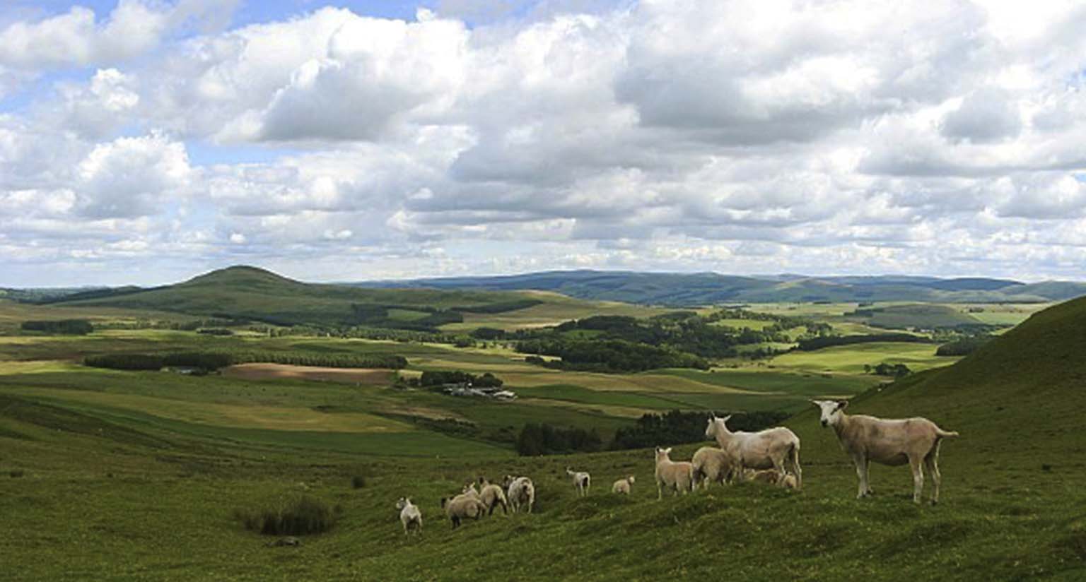 Muirhead Clan History