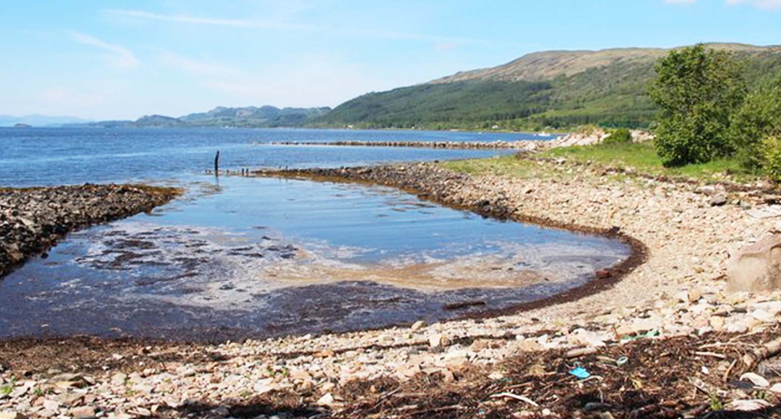 MacColl Clan History