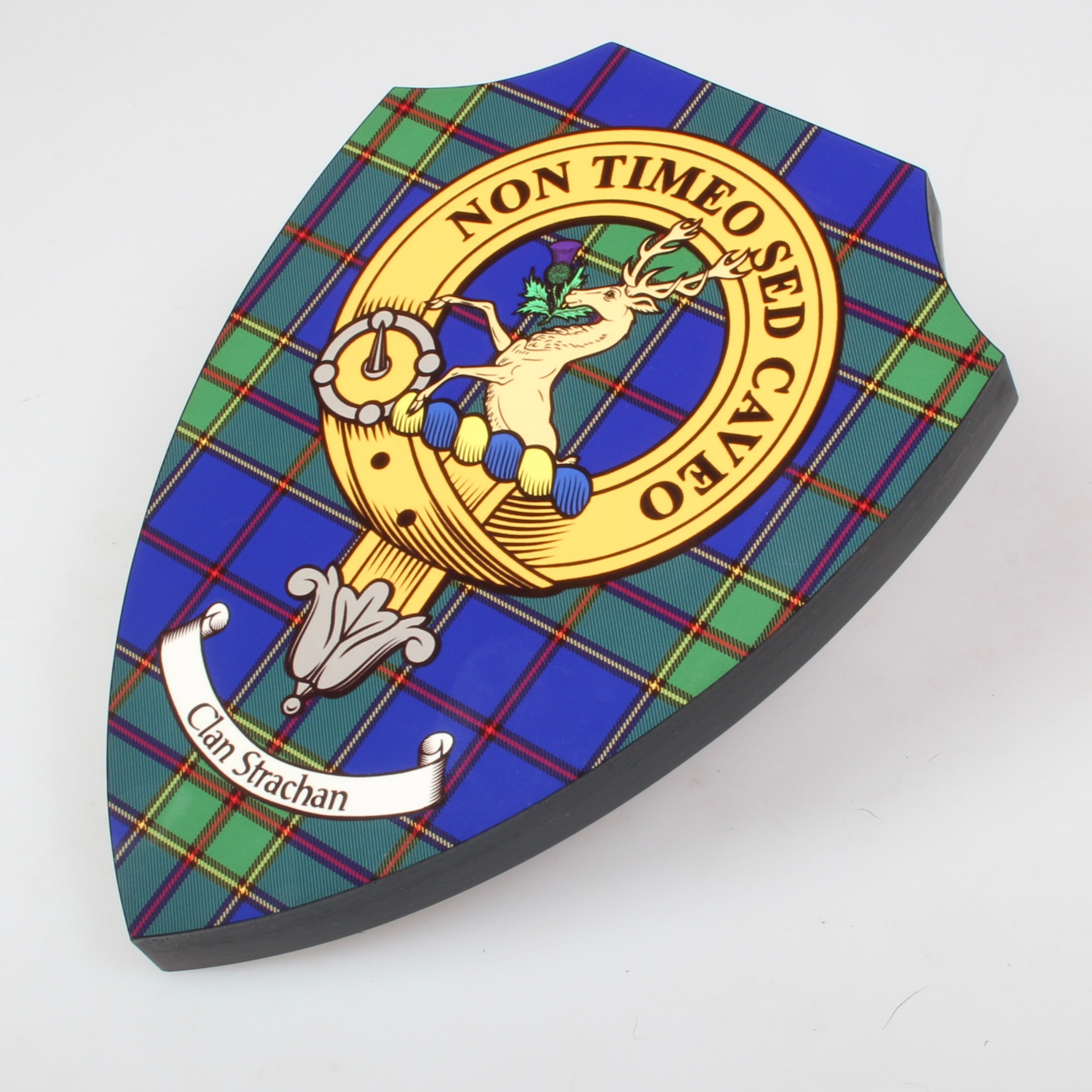 Agnew Clan Crest Wall Plaque - Custom Made