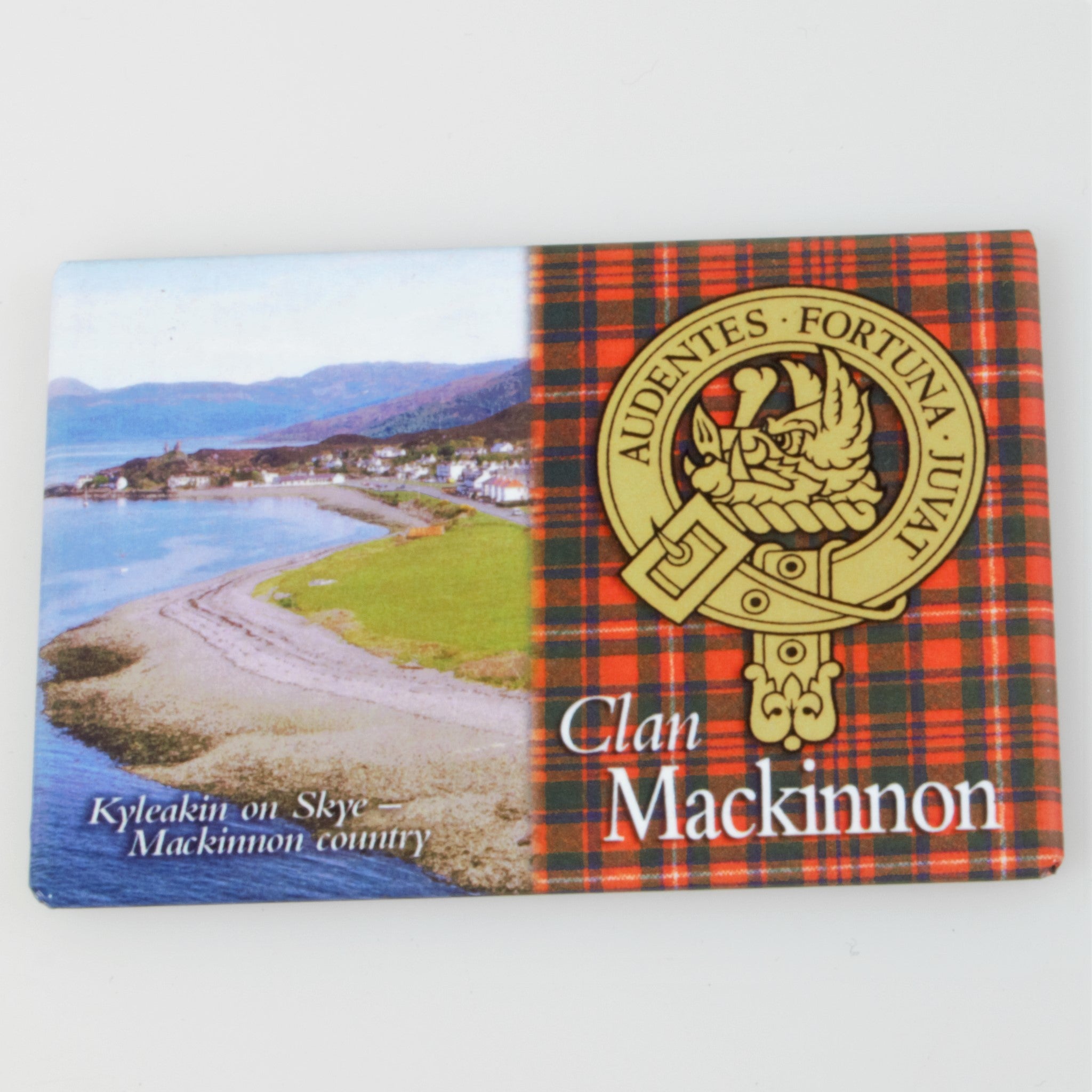 Upgrade Your Fridge with MacKinnon Clan Crest Magnet
